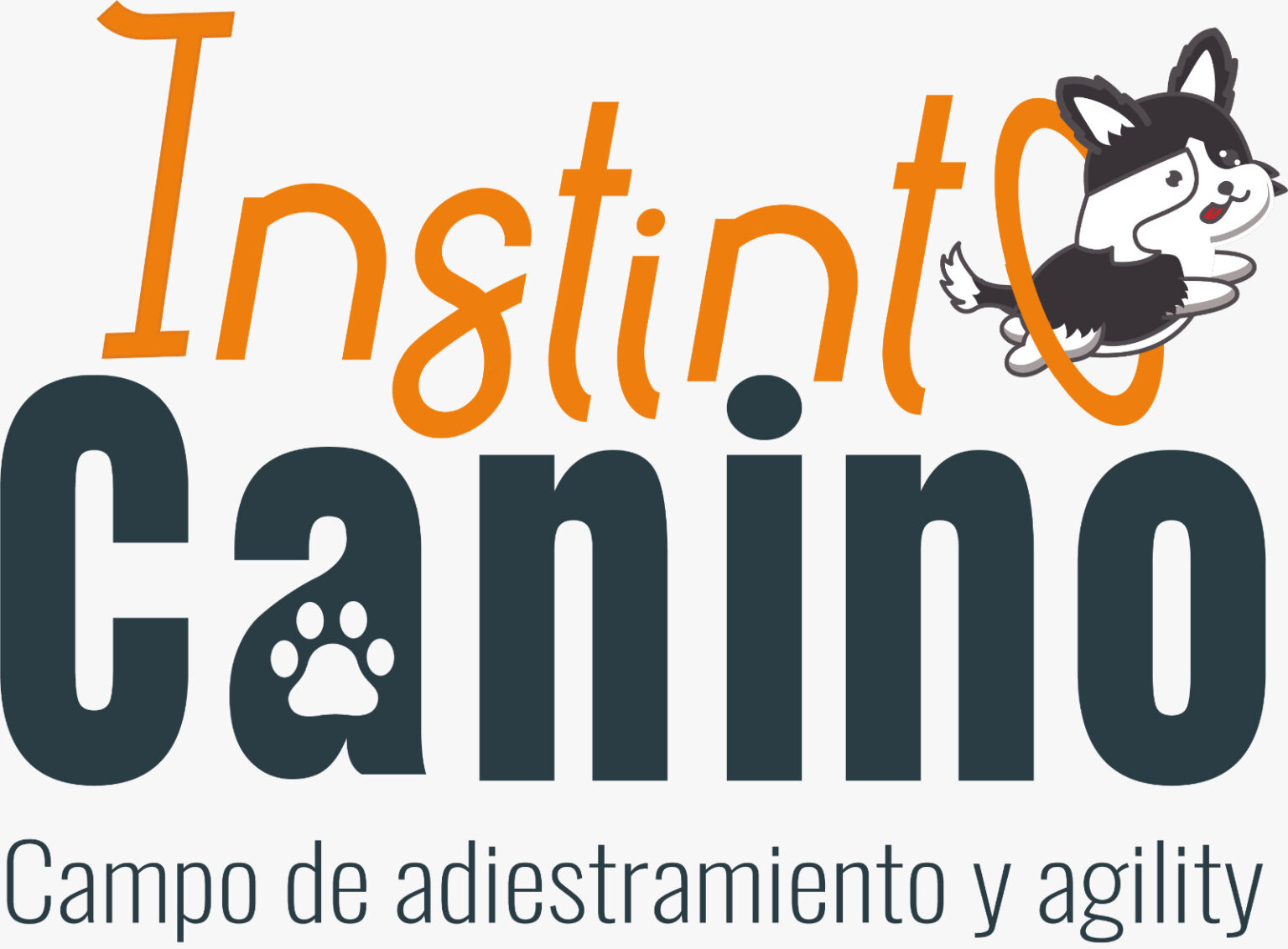 En Vivo - TV Red